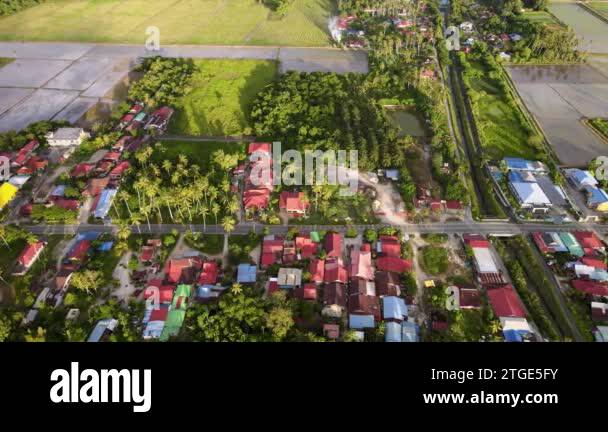 Indigenous paddy Stock Videos & Footage - HD and 4K Video Clips - Alamy