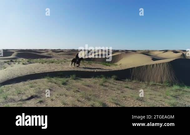 Spring riding horse Stock Videos & Footage - HD and 4K Video Clips - Alamy