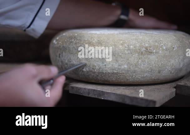 Male Caucasian hand inserting cheese trier in cheese wheel turning tool ...