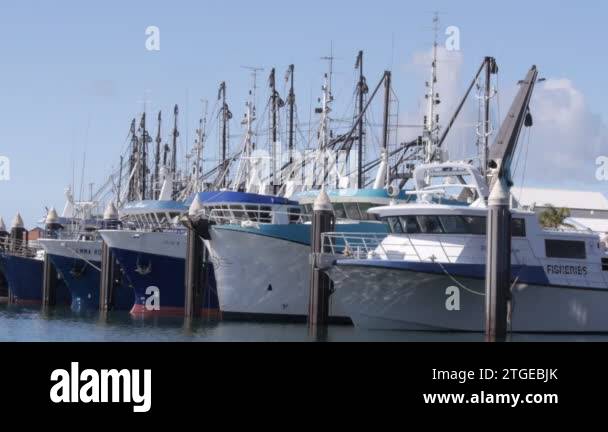 Tuna fleet Stock Videos & Footage - HD and 4K Video Clips - Alamy