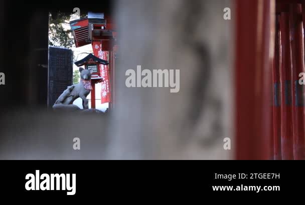 Lantern at Japanese traditional shrine. Shinjuku district Tokyo Japan ...