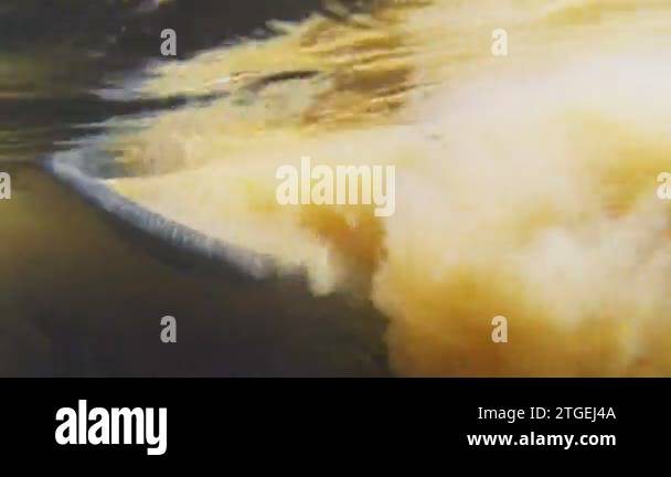 Man prospecting gold Stock Videos & Footage - HD and 4K Video Clips - Alamy