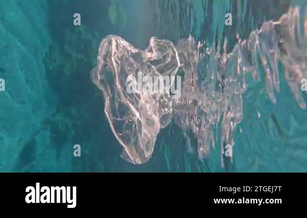 Vertical video - underwater garbage, plastic bag floats in the sea ...