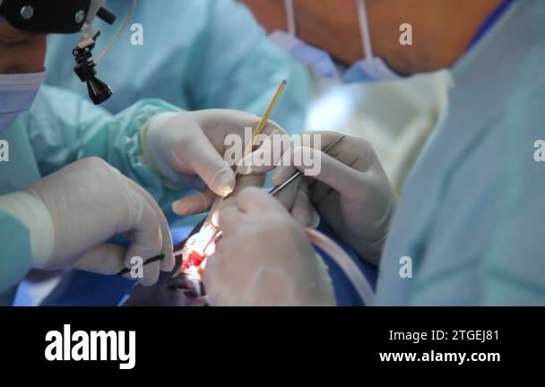 Functional rhinosurgery for the restoration of nasal breathing ...