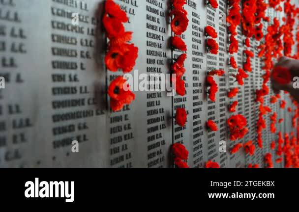 Australian war memorial roll Stock Videos & Footage - HD and 4K Video ...