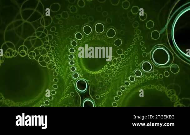 Abstract holographic gradient rainbow animation. Visual illusions ...