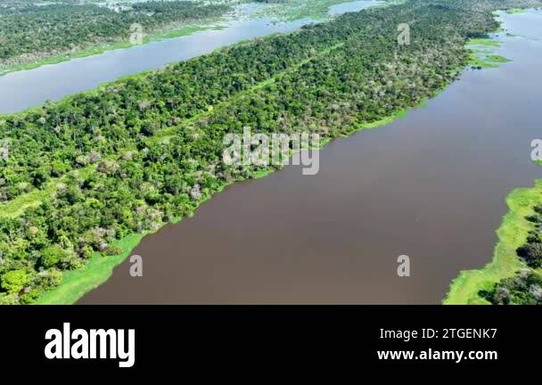 Nature aerial view of Amazon forest at Amazonas Brazil. Mangrove forest ...