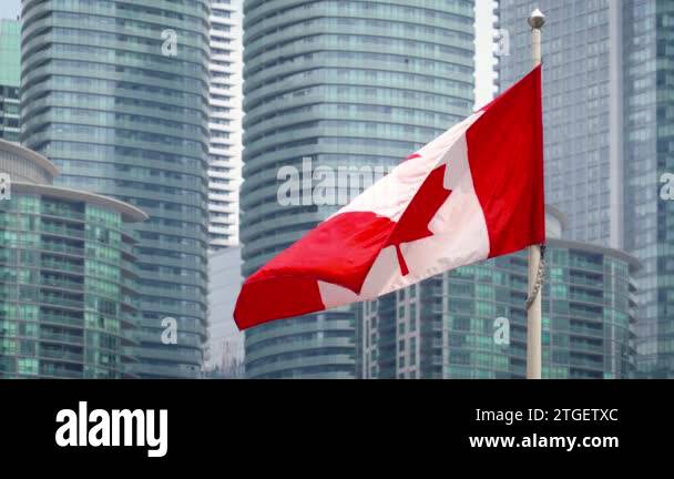 Canada national flag is waving in wind against modern building. Flag of ...