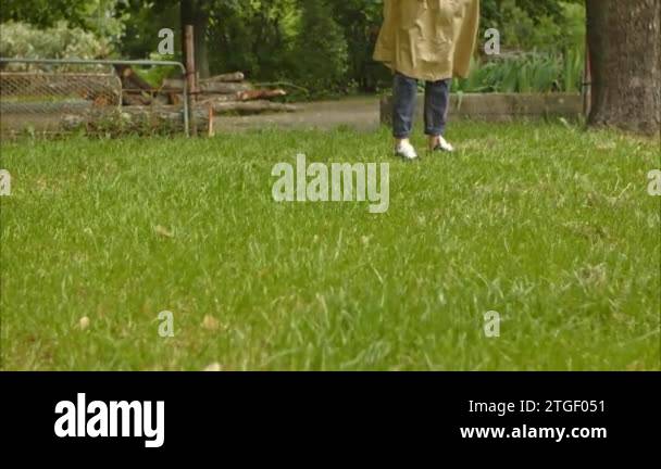 Stand on 2 legs Stock Videos & Footage - HD and 4K Video Clips - Alamy