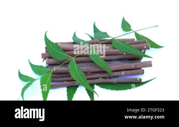 Neem is an excellent moisturizing and contains various compounds that ...