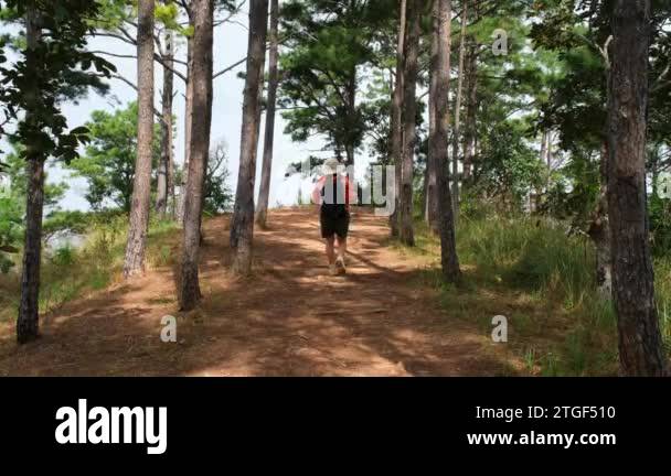 Female ecologist with backpacks walking and studying plants in the ...