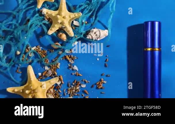 Flat top shells Stock Videos & Footage - HD and 4K Video Clips - Alamy