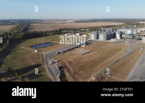 grain delivery. Grain storage. Grain trucks stand along the road in ...