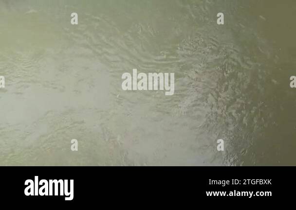 Streaming waves Stock Videos & Footage - HD and 4K Video Clips - Alamy