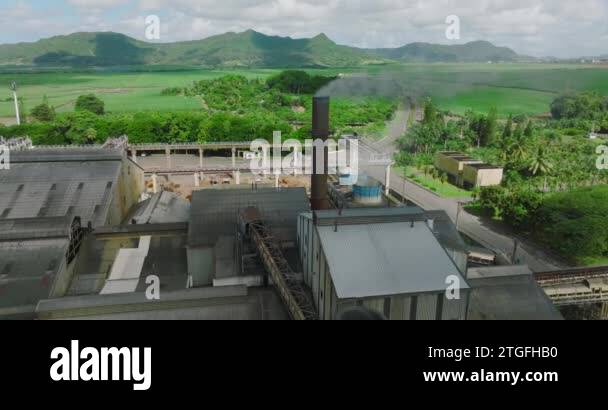 High biomass Stock Videos & Footage - HD and 4K Video Clips - Alamy