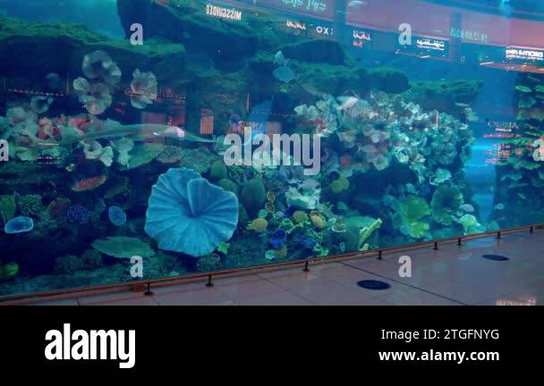 Large underwater aquarium and zoo in the shopping mall, known as the ...