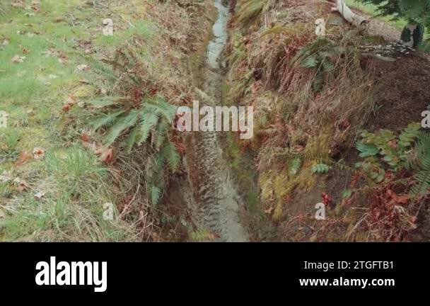 Natural water drainage Stock Videos & Footage - HD and 4K Video Clips ...