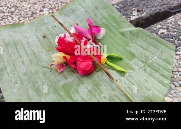 Hindu worship flowers Stock Videos & Footage - HD and 4K Video Clips ...