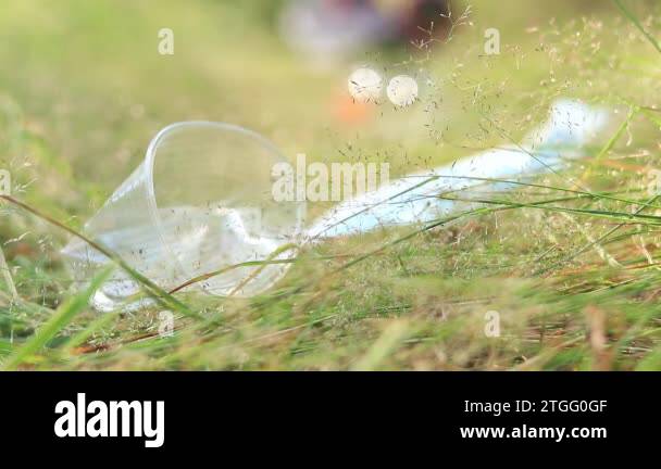 Garbage collection in the forest in summer. A volunteer picks up ...