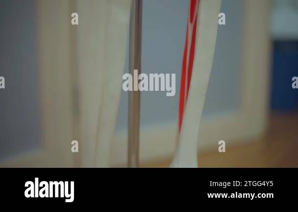 Anatomical medical three-dimensional model of the human skeleton for ...