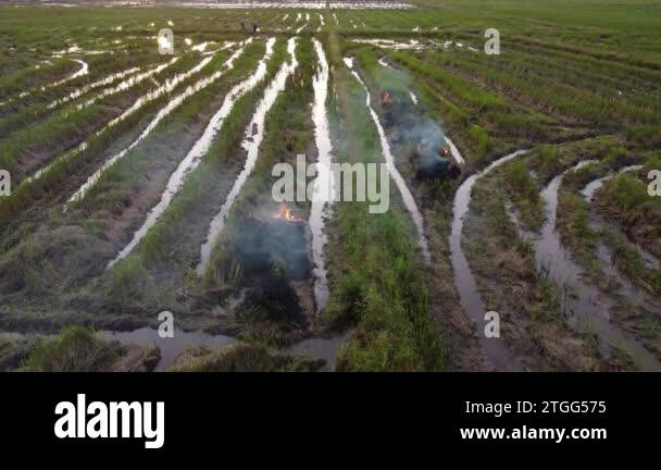 Burn outdoor shot Stock Videos & Footage - HD and 4K Video Clips - Alamy