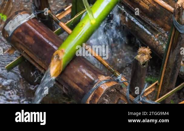 Bamboo water irrigation Stock Videos & Footage - HD and 4K Video Clips ...