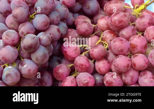 Fruit red grape bunch Stock Videos & Footage - HD and 4K Video Clips ...