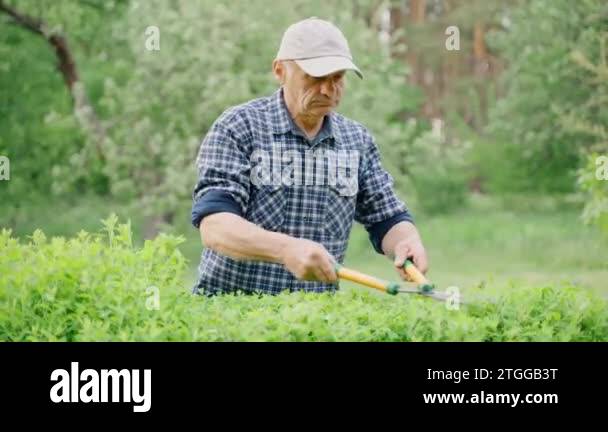 Side view gardener pruning Stock Videos & Footage - HD and 4K Video ...