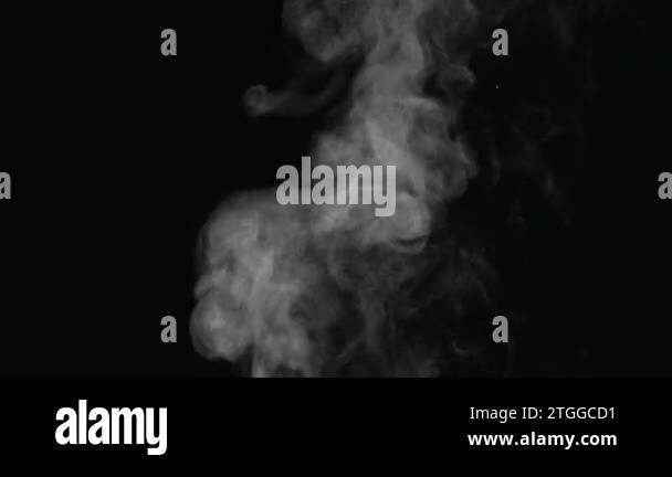 Water vapor. White jet of steam ascending and floats in air on black ...
