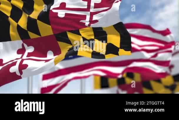 Seamless loop in slow motion with two Maryland state flags waving along ...