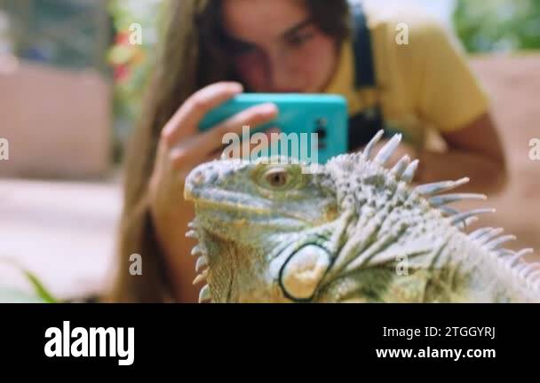 5g and wildlife Stock Videos & Footage - HD and 4K Video Clips - Alamy