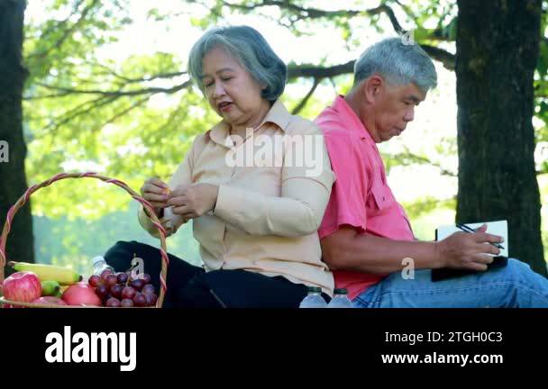 Sitting under shady trees Stock Videos & Footage - HD and 4K Video ...