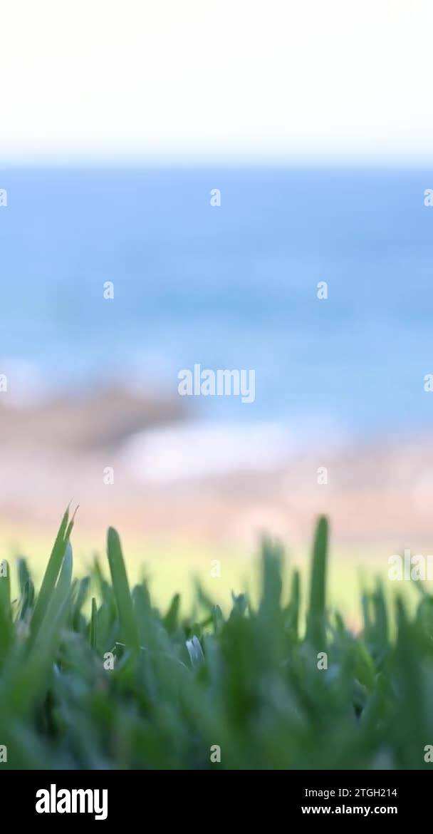 Grass lawn vertical background Stock Videos & Footage - HD and 4K Video ...