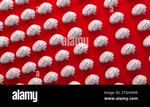 Real human brain internal cerebrum organ model seamless looping ...