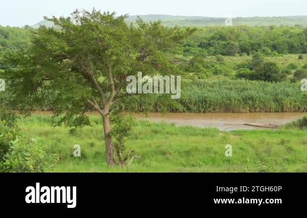 Bend nature reserve Stock Videos & Footage - HD and 4K Video Clips - Alamy