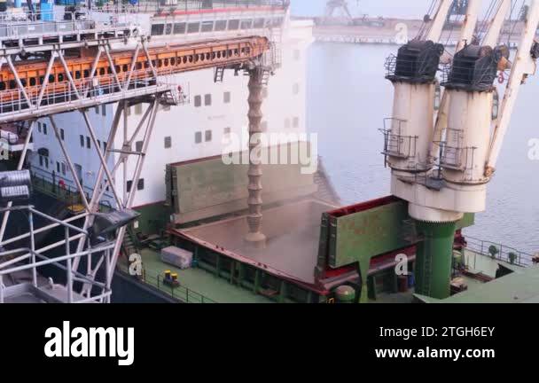 Wheat loading to bulker ship cargo container at sea grain terminal in ...