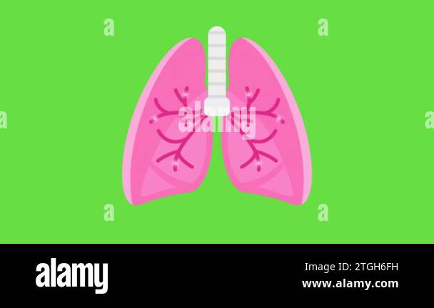 Respiratory system icon cartoon Stock Videos & Footage - HD and 4K ...