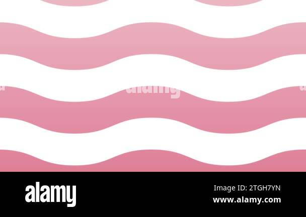 Pink stripes background, Pink color animated shapes loop background, striped candy pink studio ...