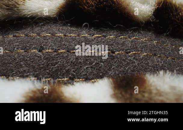 Wild animals texture Stock Videos & Footage - HD and 4K Video Clips - Alamy