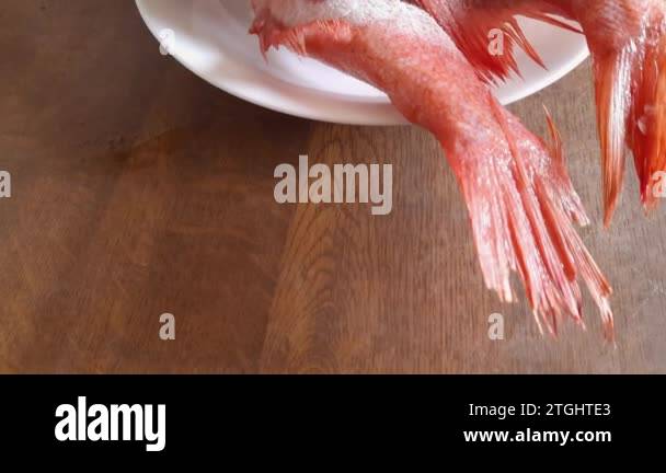 Two frozen headless redfish carcasses Stock Videos & Footage - HD and ...