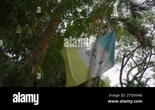 Penang flag Stock Videos & Footage - HD and 4K Video Clips - Alamy