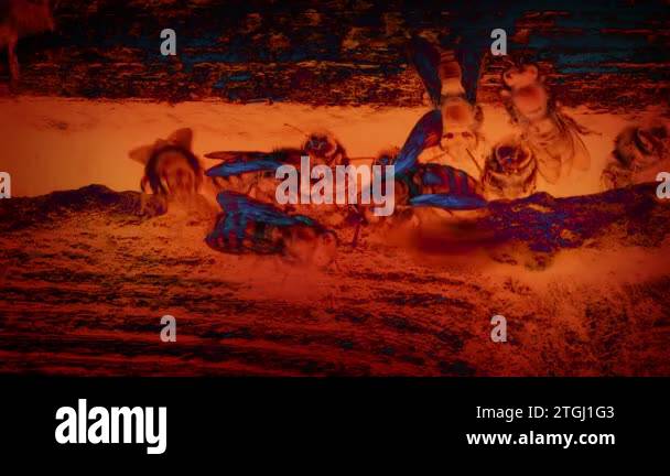 Scary danger Stock Videos & Footage - HD and 4K Video Clips - Alamy