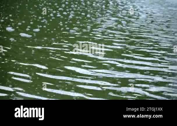 Bubbles on water surface Stock Videos & Footage - HD and 4K Video Clips ...