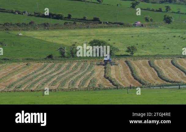 Cork cultivation Stock Videos & Footage - HD and 4K Video Clips - Alamy