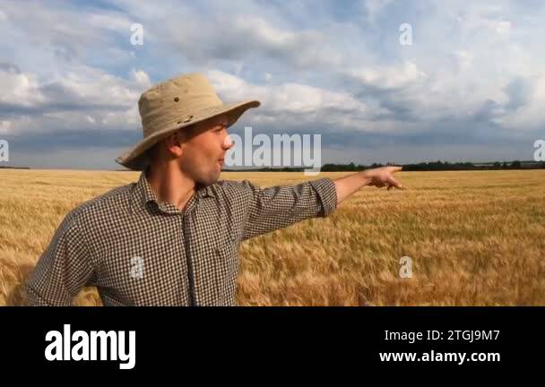 Male farmer standing on barley meadow and looking at cereal plantation ...