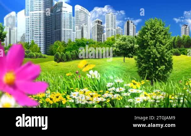 Vector area Stock Videos & Footage - HD and 4K Video Clips - Alamy