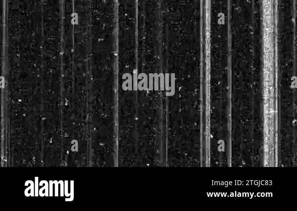 Animation Loop of grunge motion vertical line. grunge black and white ...