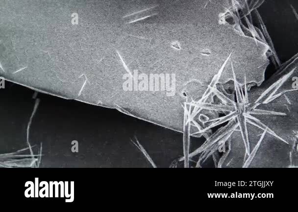 Scanning electron micrograph image Stock Videos & Footage - HD and 4K Video Clips - Alamy