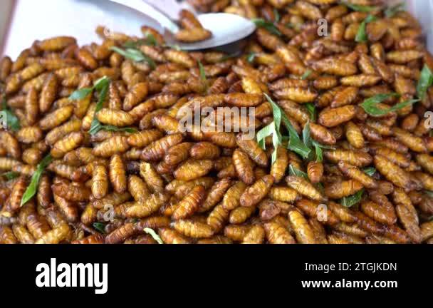 Fried silk worms delicious in street food in Thailand. They are deep fried until reaching a ...