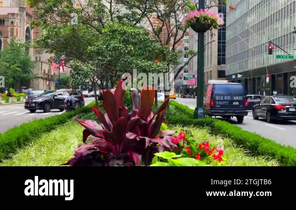 This video shows street views of Park Avenue and its surrounding ...